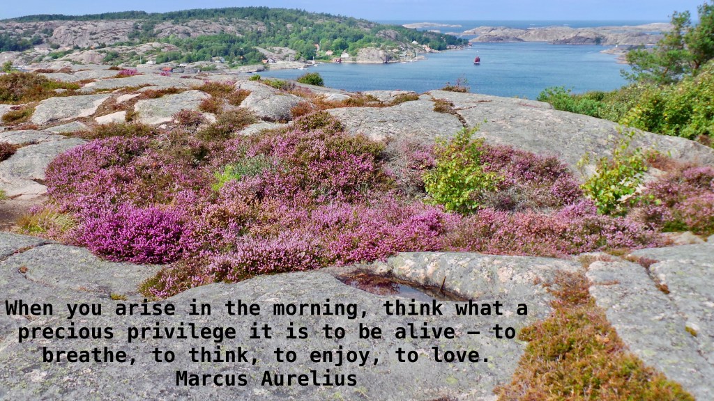 Annika Perry – A writer influenced by her Swedish heritage and ...