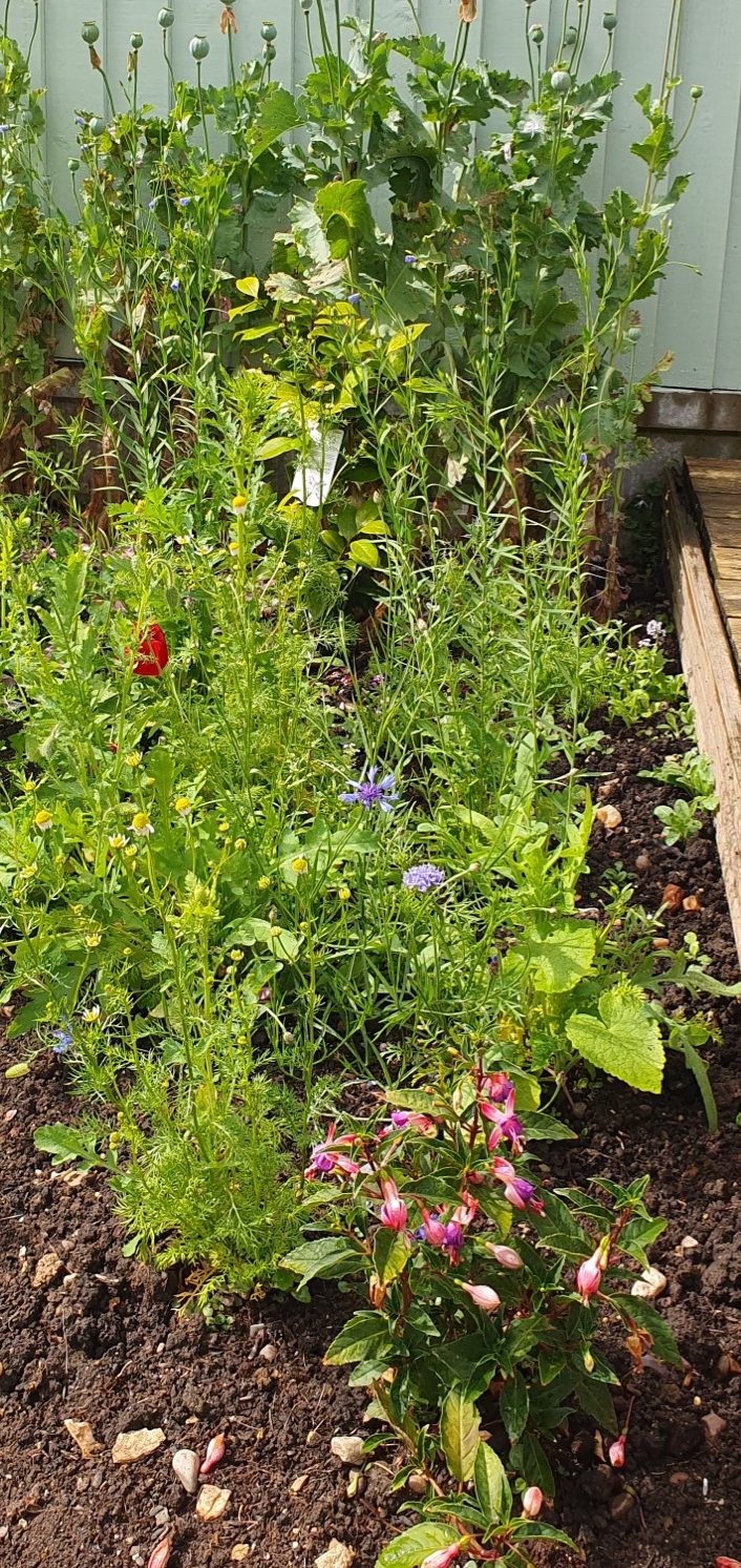 Annika Perry – A writer influenced by her Swedish heritage and ...