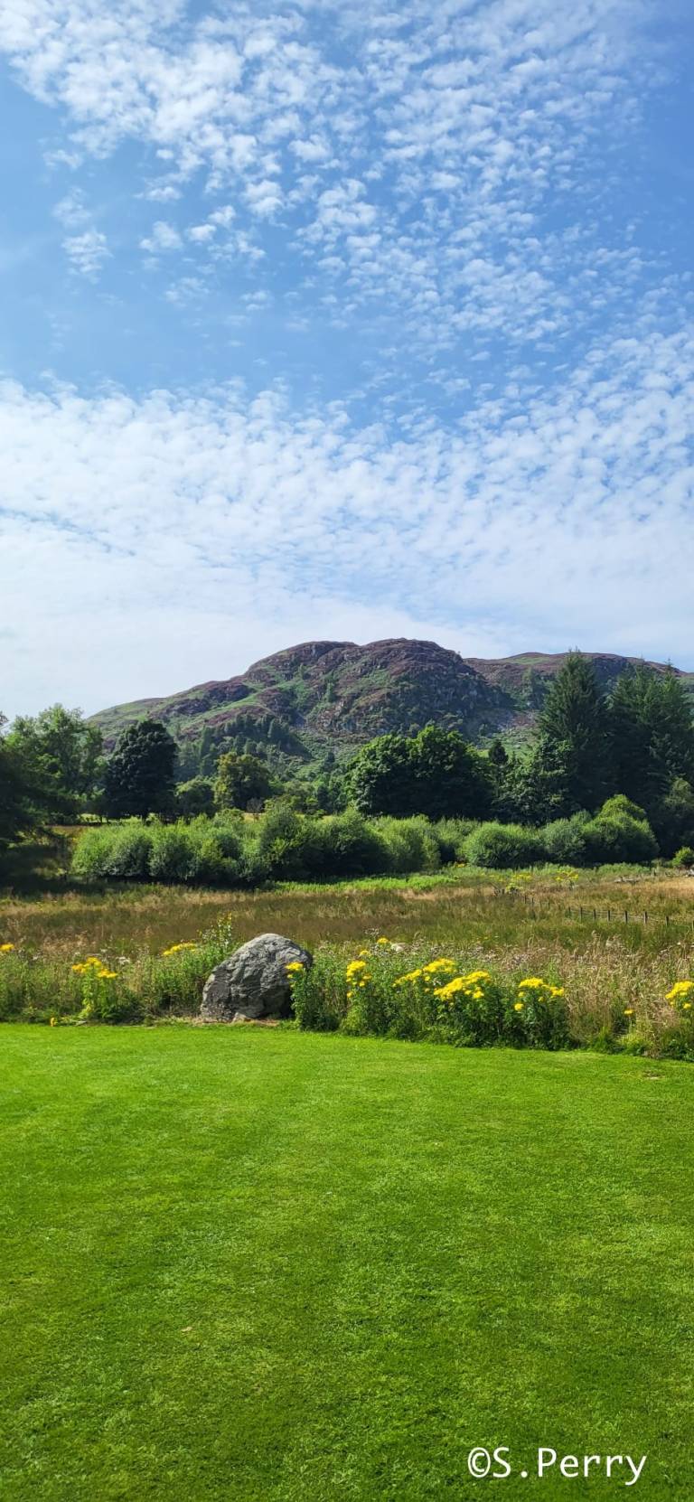 Annika Perry – A writer influenced by her Swedish heritage and ...